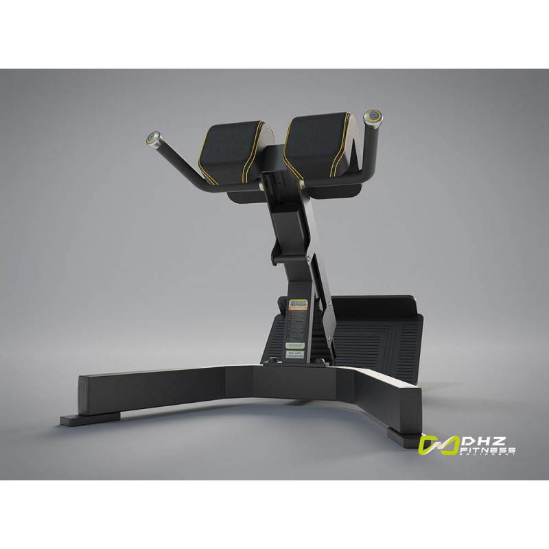 Incline Lumbar Hyperextension Bench | Professional / DHZ
